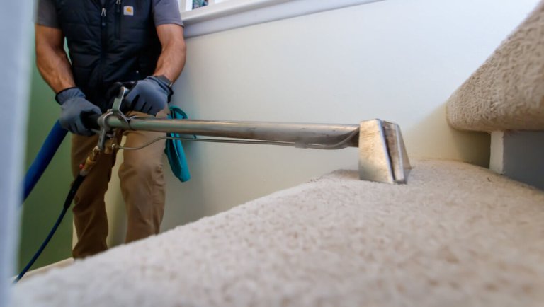 Commercial Carpet Cleaning Denver – Trusted Local Experts